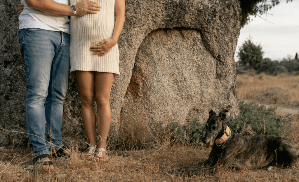 Sesión de fotos con perros: un recuerdo para siempre - Mascotas adopción