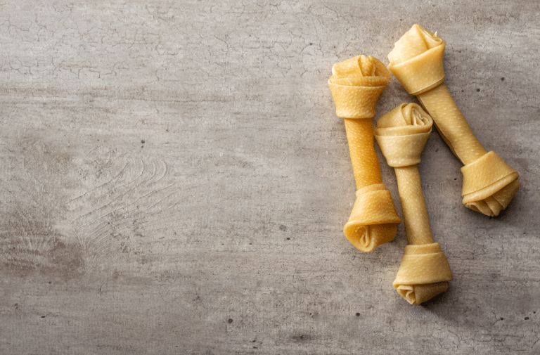 Huesos para perros: ¿Beneficiosos o perjudiciales?- Mascotas adopción